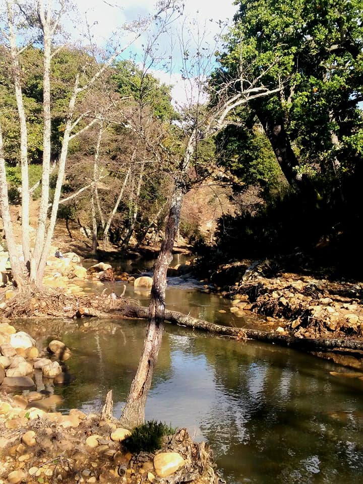 21e Randonnée : Oued Zen - Ain Drahem