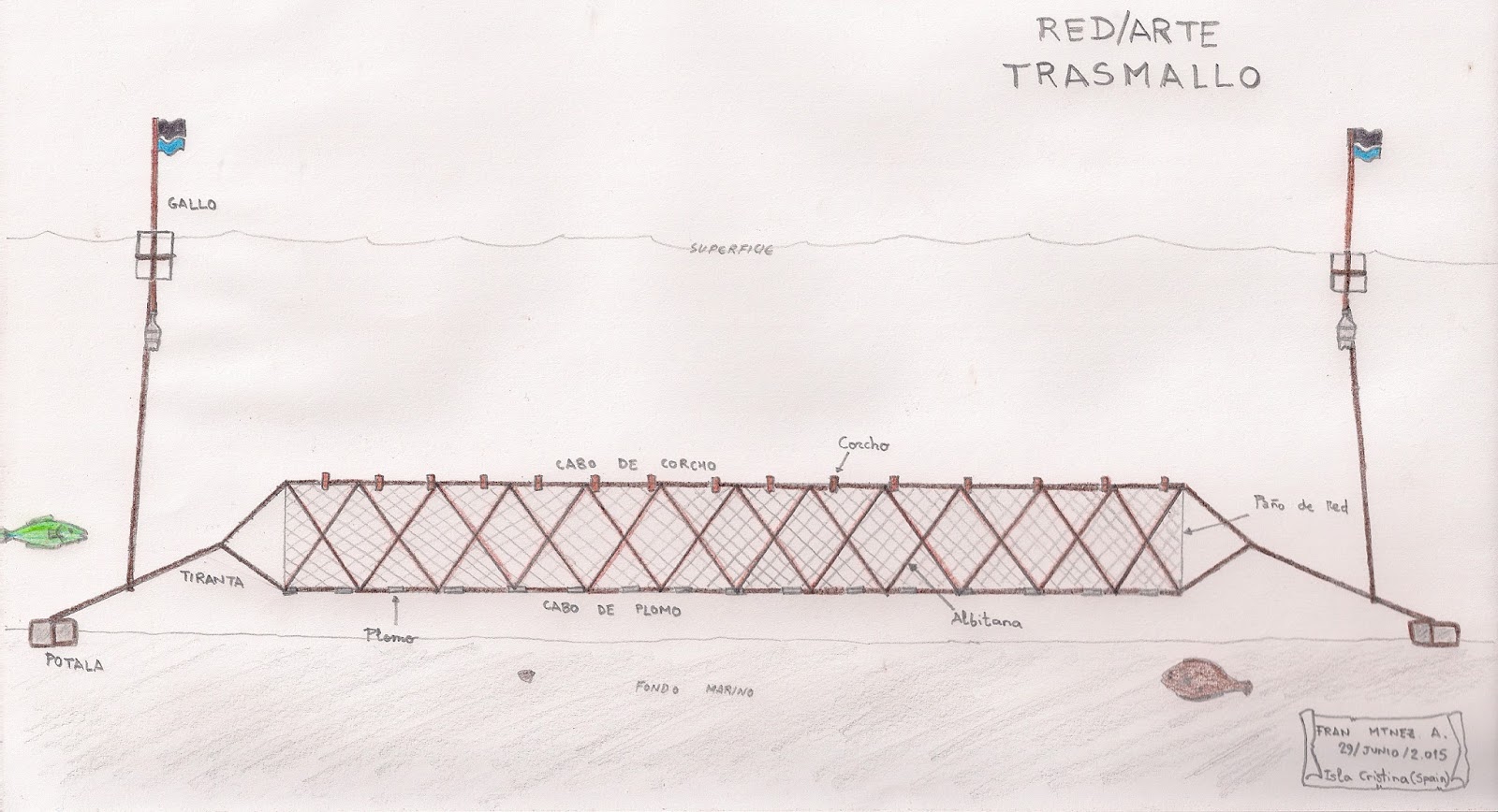 APRENDER FORMANDO: El "Trasmallo" en Isla Cristina: de la pesca ...
