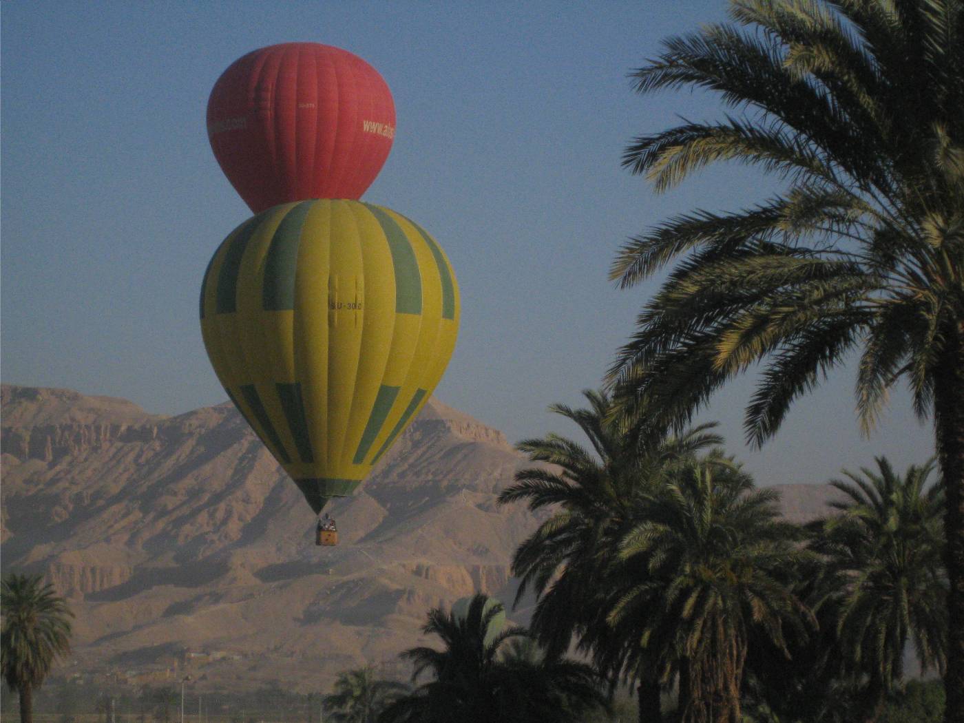 Shari's Chocolate Box: May 2011