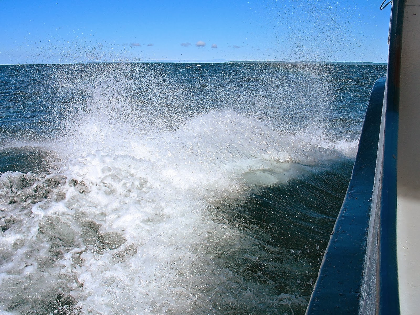 Picture This: Bow Spray