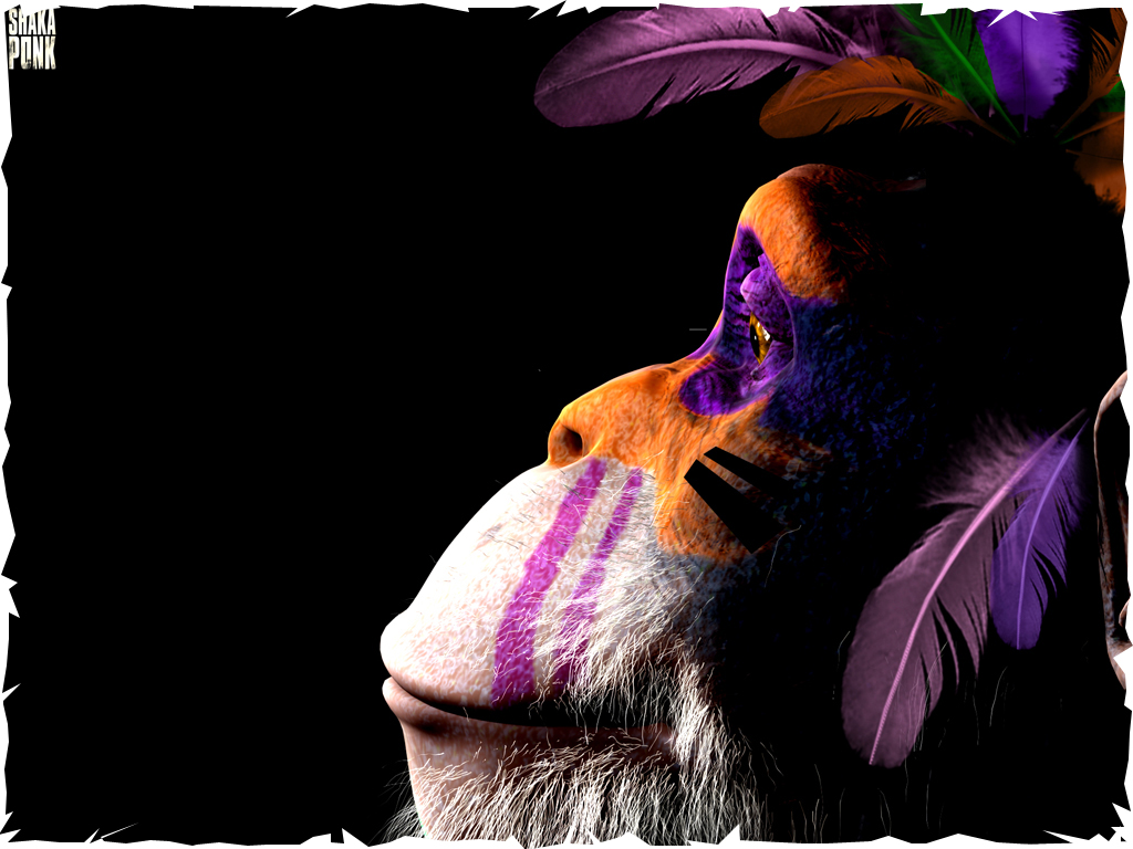 Ponk - JungleKey.in Image