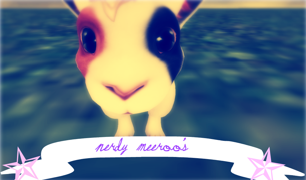 Welcome To Nerdy Meeroo's!: 2012