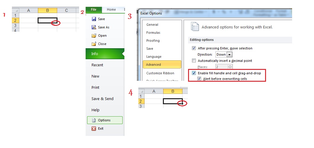 Microsoft Sql Server Cell Pointer Missing In Excel 2007