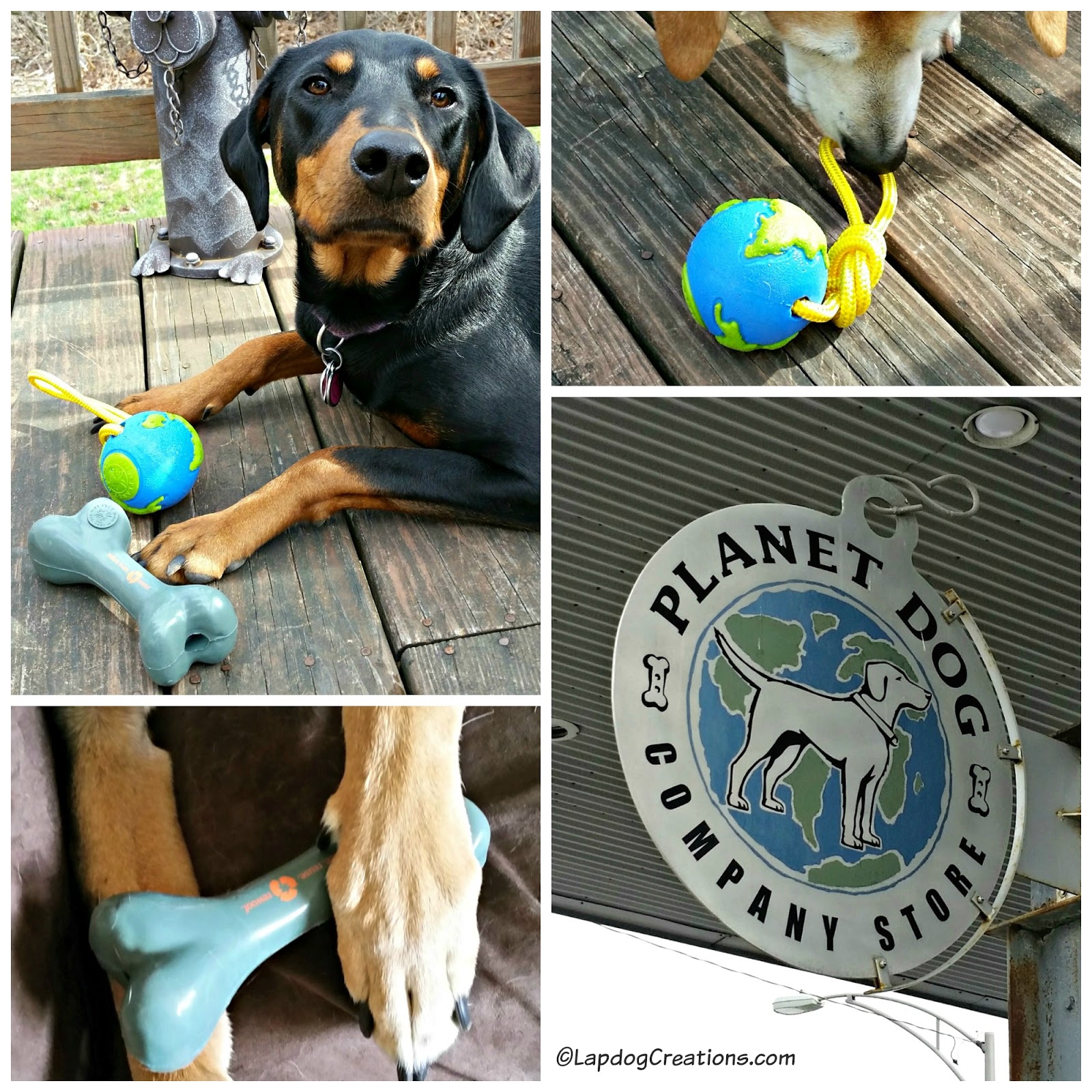 Lapdog Creations: Celebrate Earth Day with Planet Dog Toys #EarthDay