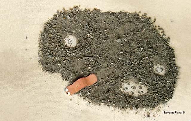 the art room plant: Sarvenaz Parish I