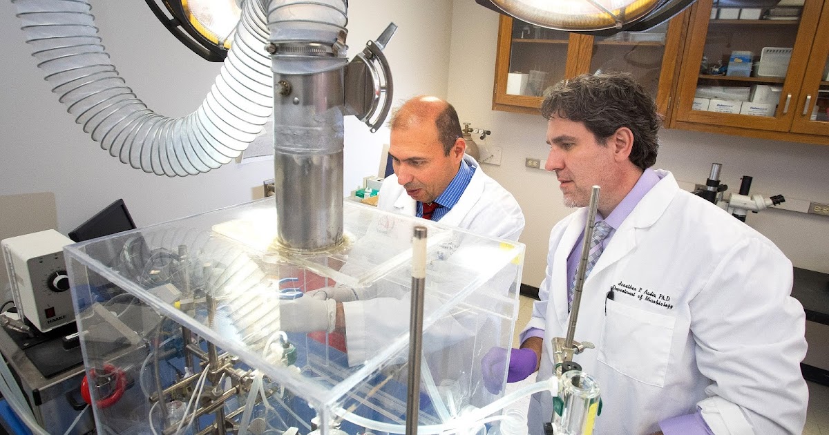 USA Researchers Develop Experimental Model to Further Understand ...