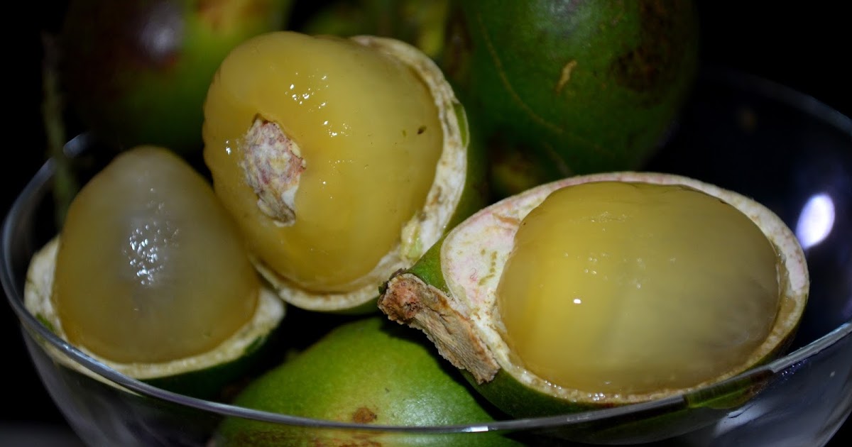 LENGKENG PAPUA YANG MEMPESONA ~ MY EXECUTIVE CHEF