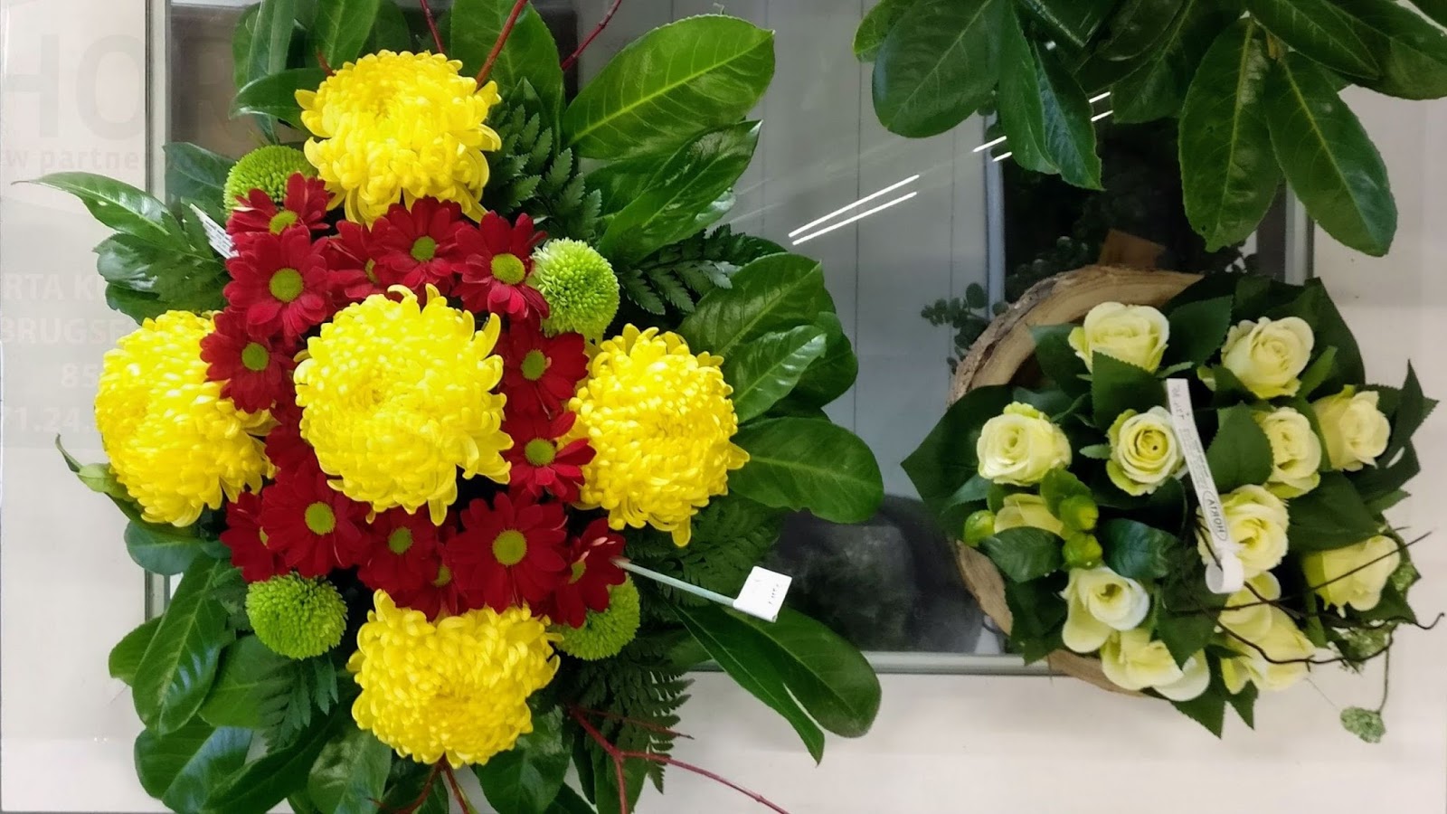 Horta Dendauw Kuurne: Chrysanten: Alle kleuren - Diverse grootte's ...