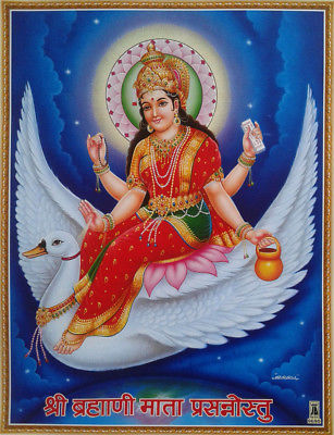 LAS MADRITIERRAS Y LOS PADRINAUTAS: B R A H M A N I : " LA FUENTE DE ...