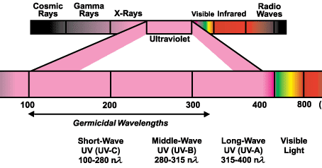 EXAMS AND ME : Ultraviolet
