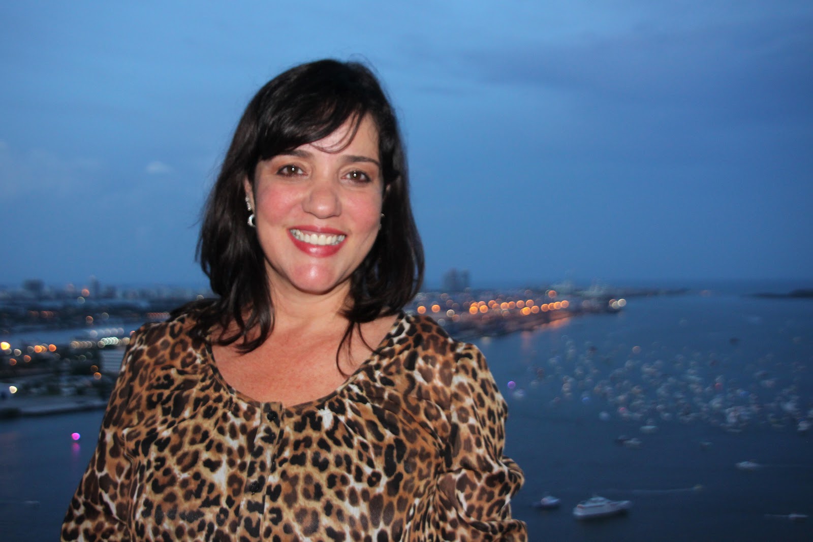 Silvia Castro photografa: 4 de julhoMiami