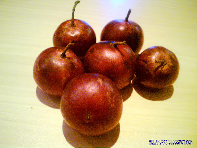 Photo Gallery: BUAH-BUAHAN ASAL INDONESIA YANG ENAK NAMUN JARANG DITEMUI