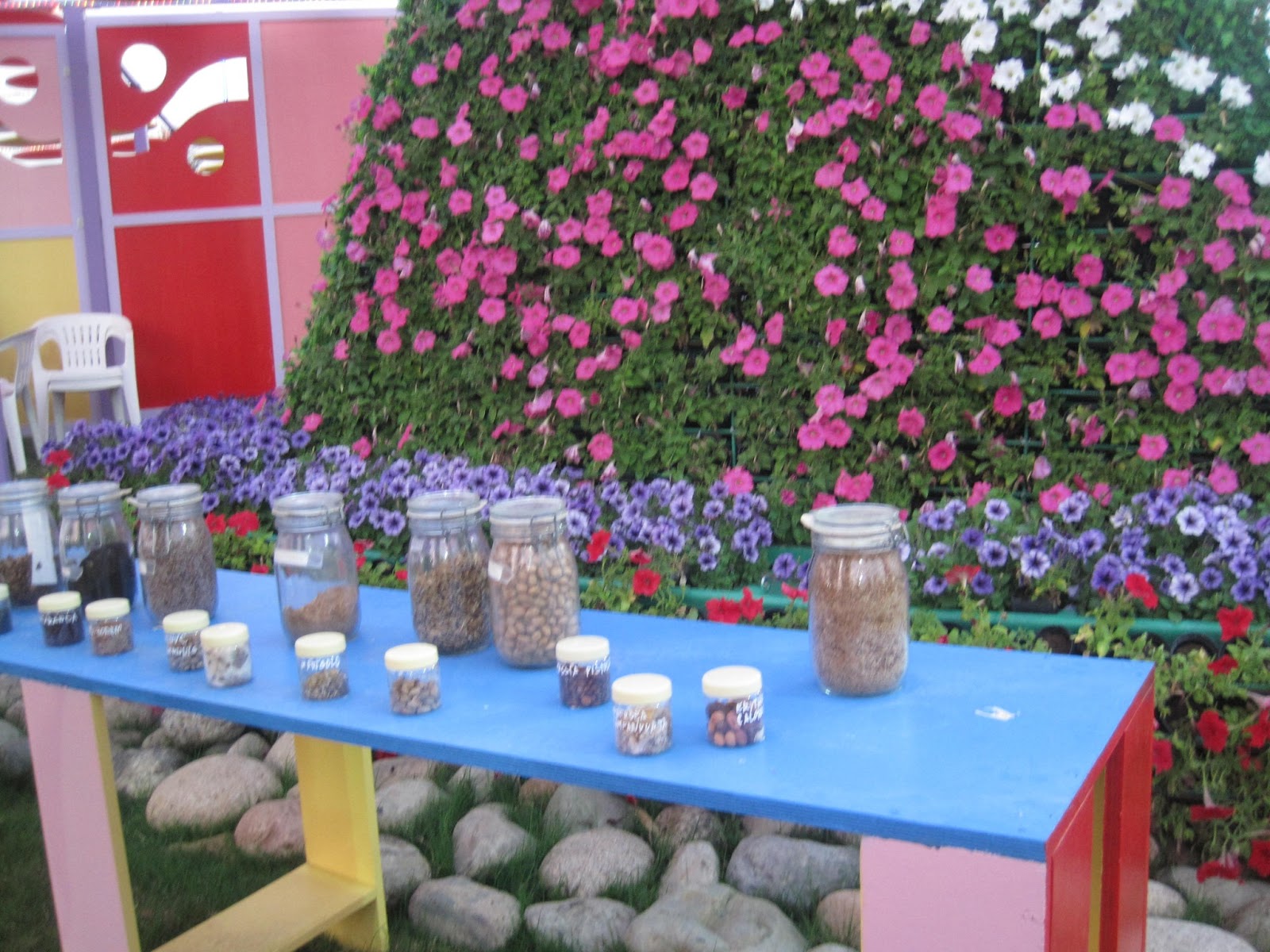 Festival Bunga di Padang Pasir