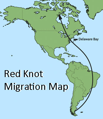 Dee-liberations: June 2016