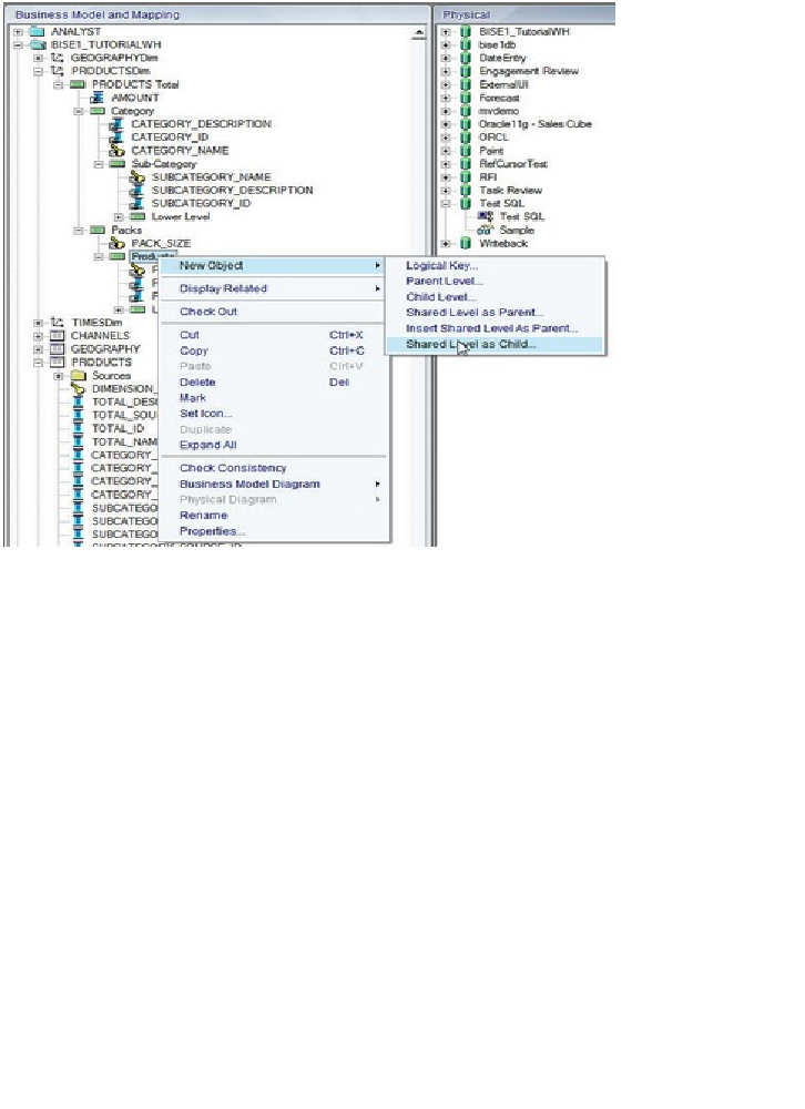 OBIEE Express: One Dimension – Multiple Hierarchies OBIEE Express: One Dimension – Multiple Hierarchies