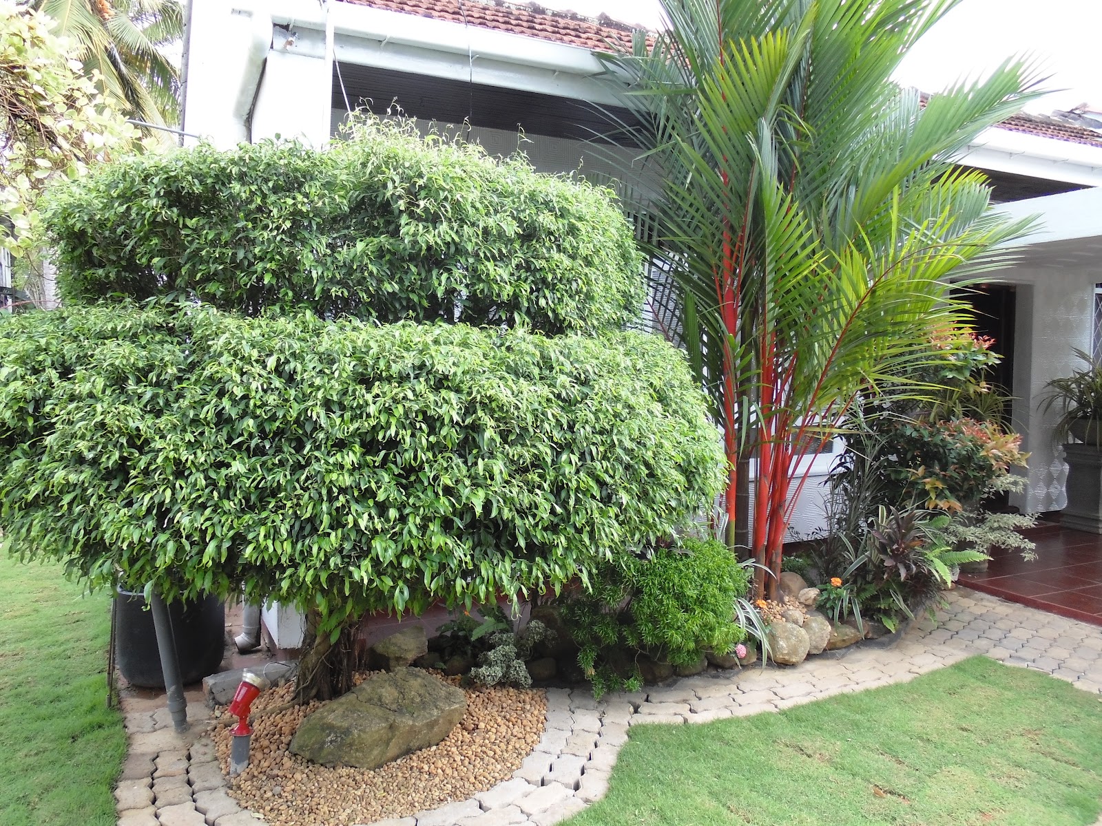 Lassana Midula Garden Service: Lassana Midula Garden Service