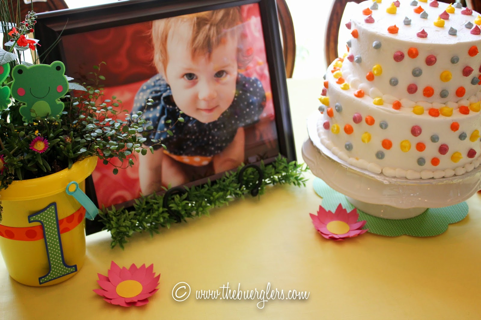 The Buerglers: Maggie's Maggi and Milo Birthday Party