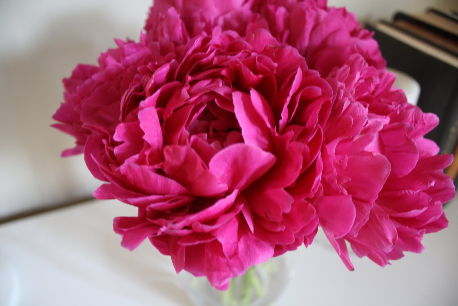 dwell and tell: Pink Peonies