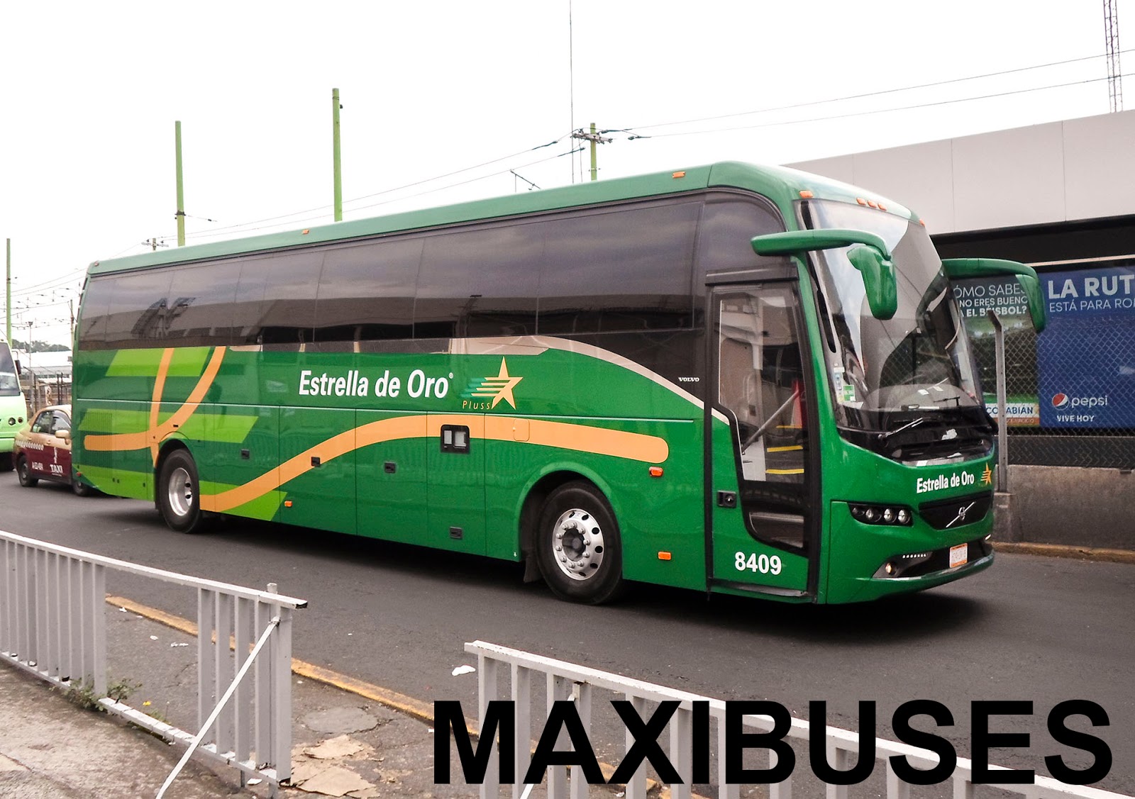 MAXIBUSES: ESTRELLA DE ORO PLUSS