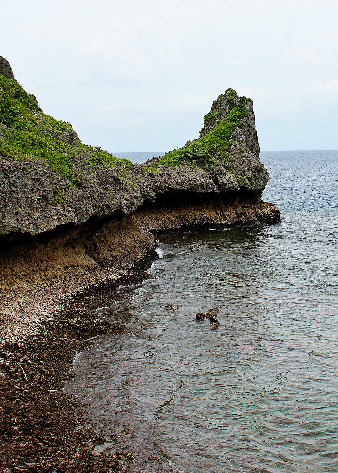 Enjoying Life With 4 Kids: Checking out Maeda Point