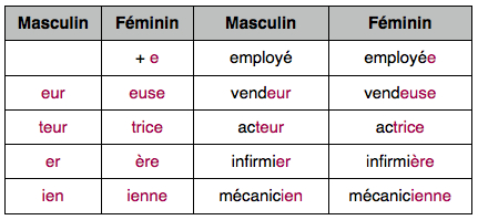 Cours de première année : Le masculin et le féminin des professions
