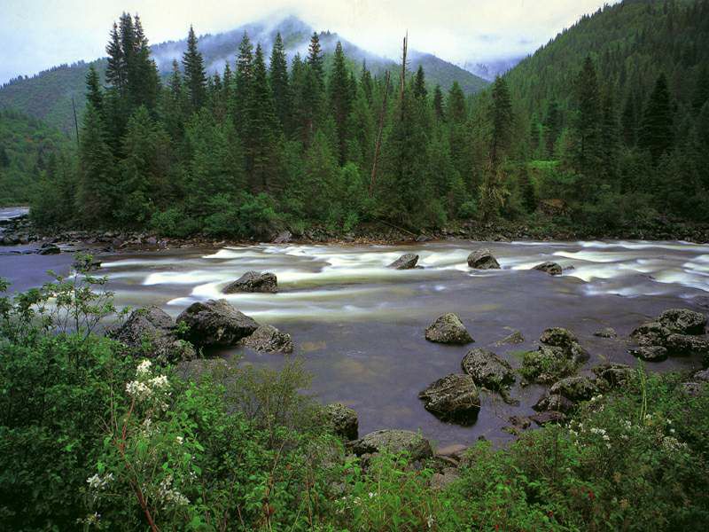 Senari Wallpaper ~ Entertainment Spy