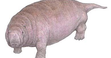 Escenarios prehistóricos: Pezosiren