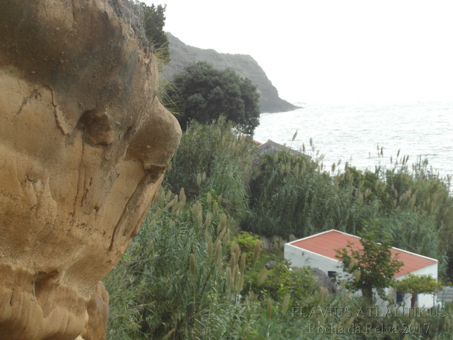 FLAVIUS ATLANTIKUS: Rocha da Relva - S. Miguel Island - Azores - Portugal