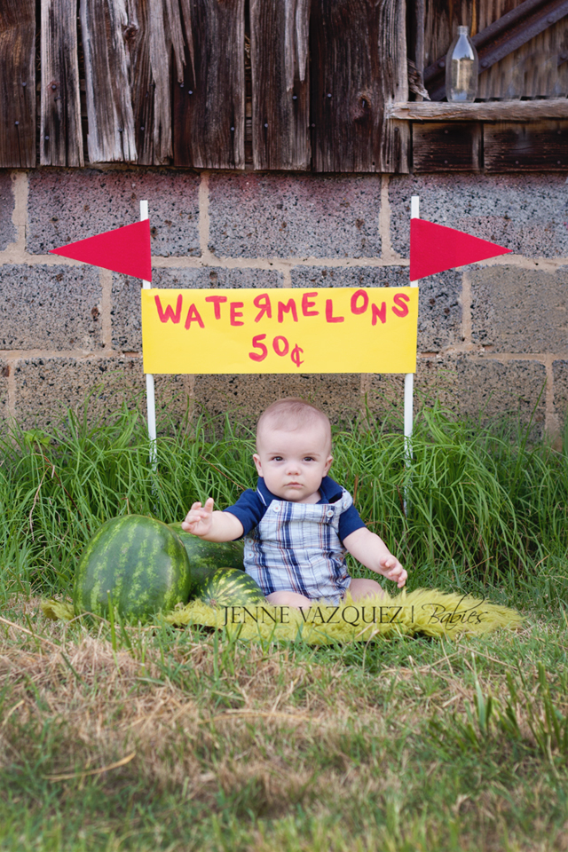 Jenne's Just Fabulous Journal: Owen's 6 month Watermelon Wagon ...