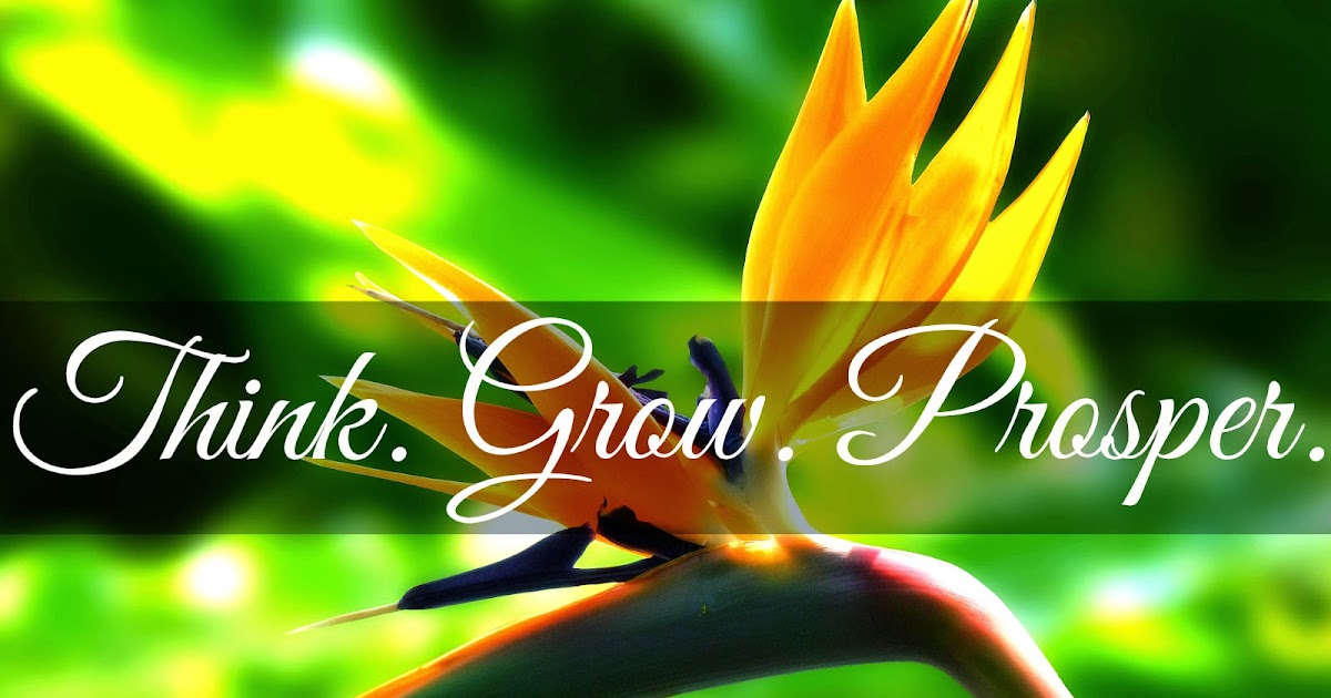 Book Recommendation: Think. Grow. Prosper. | Pure Power Panda