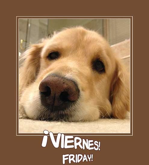 ¡Es viernes! ¡Sonríe! —160