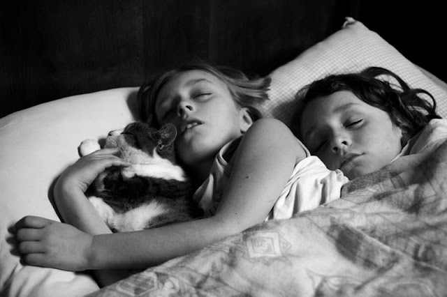 La Famille - Alain Laboile