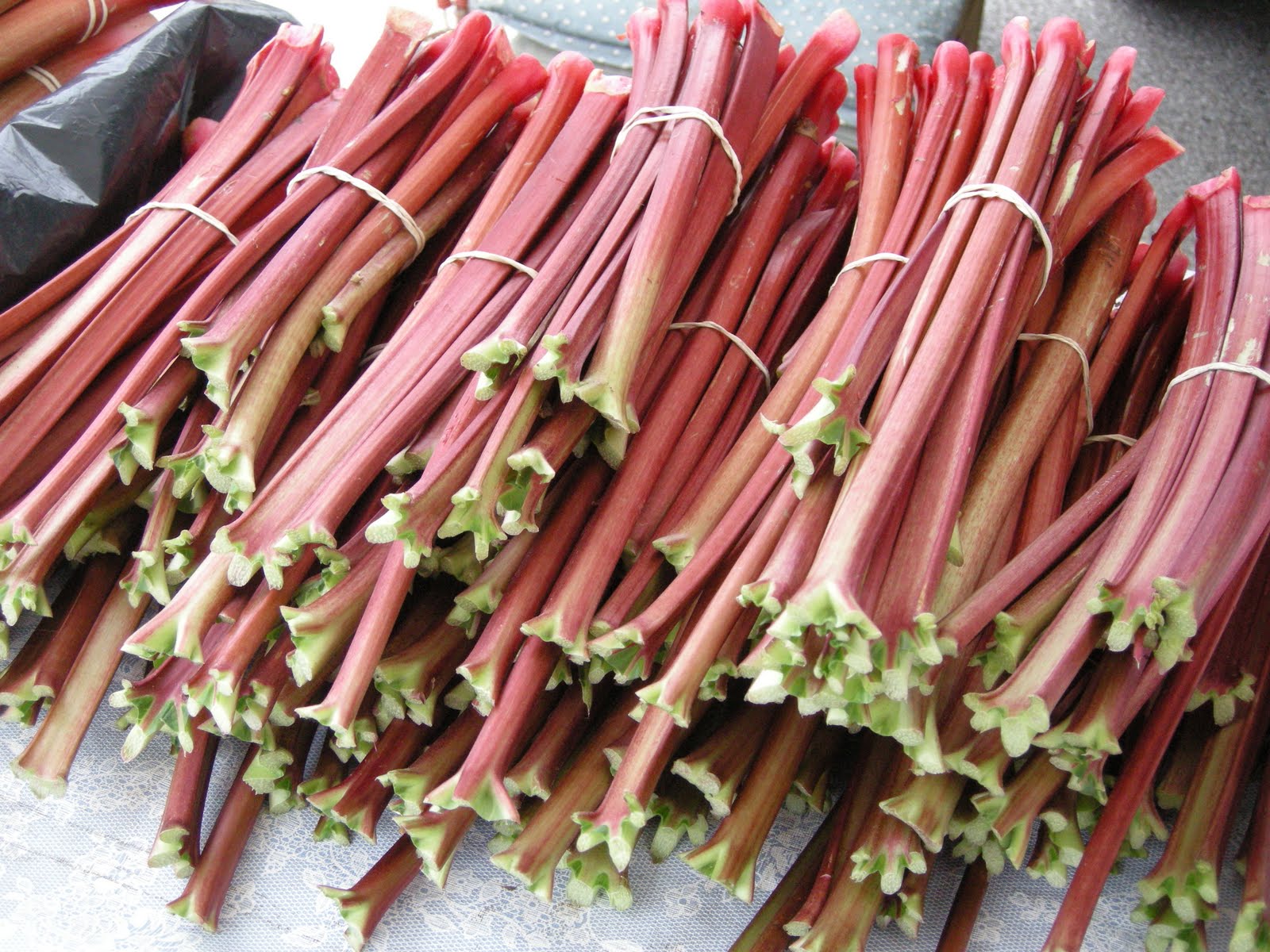 delicious dairyland: Sign of Spring: Rhubarb at the Farmers Market