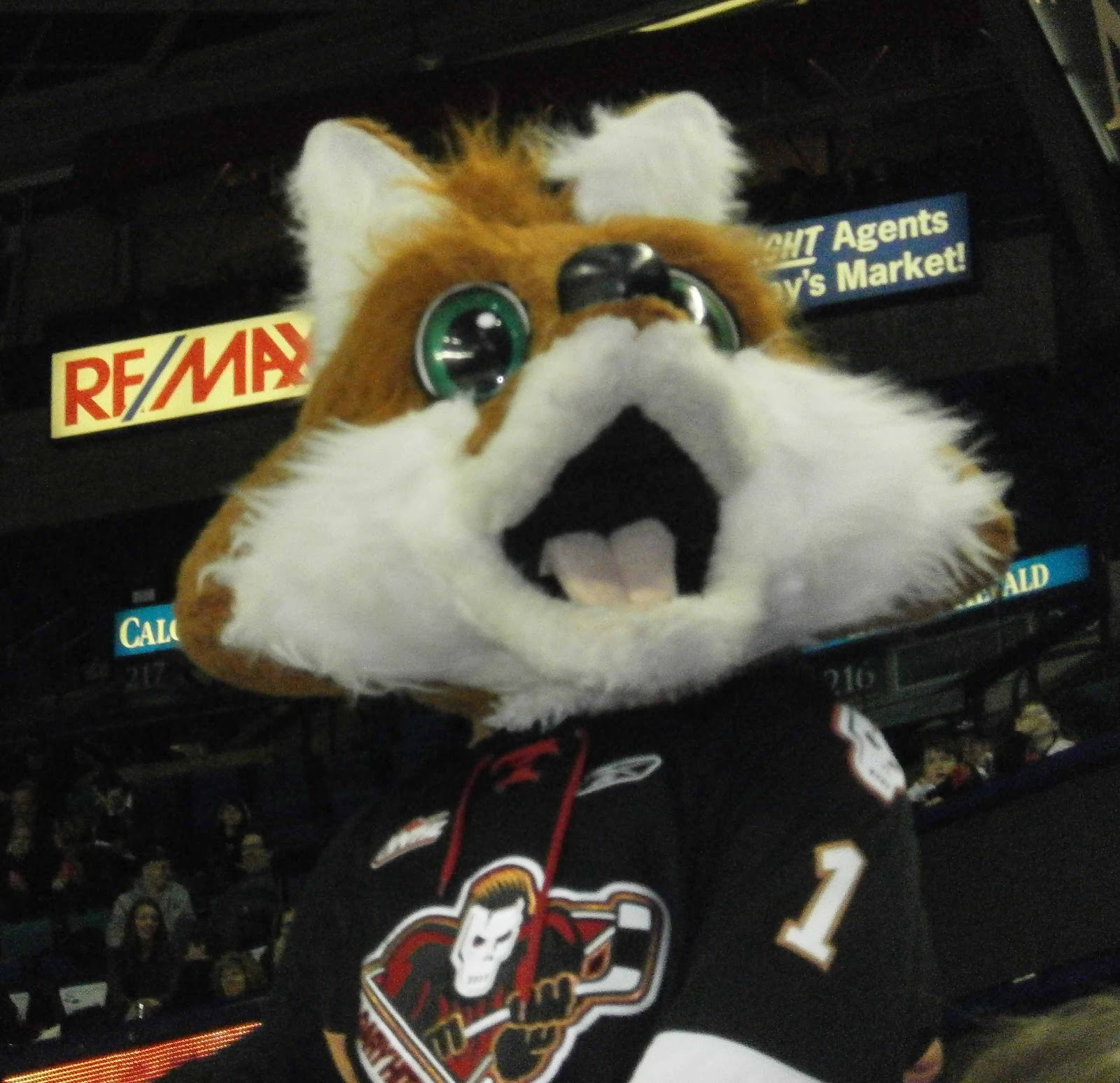 Catherine & Stuart in Calgary: Let’s go Hitmen!!
