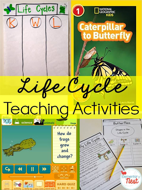 Teaching Life Cycles | Second Grade Nest | Bloglovin’