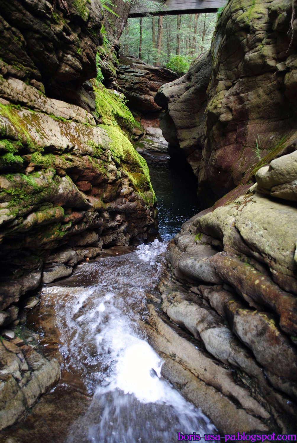 Seven Tubs Nature Area | Travel from Philadelphia