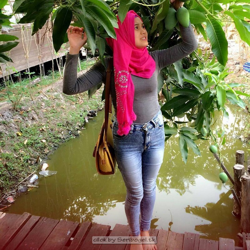Jilboobs Melayu Tetek 948 Jilboobs Awek Bertudung Baju Ketat Tetek Terjojol