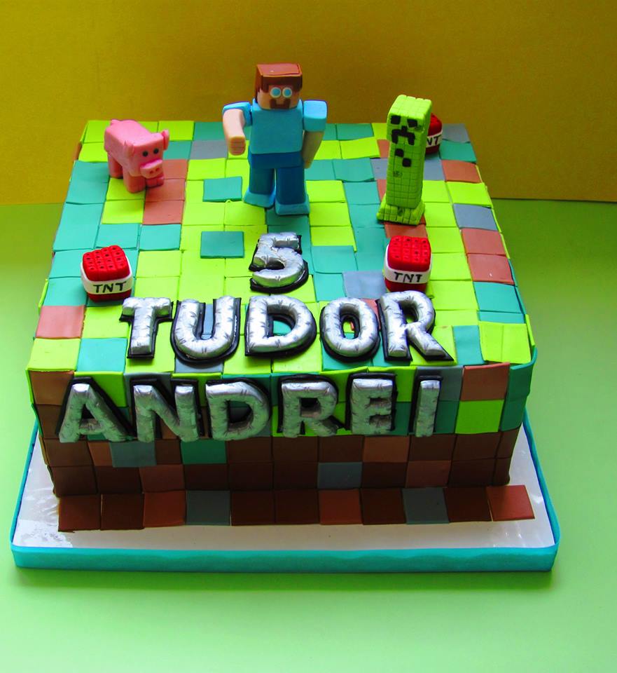 COMANDA TORT BUCURESTI: Torturi Minecraft