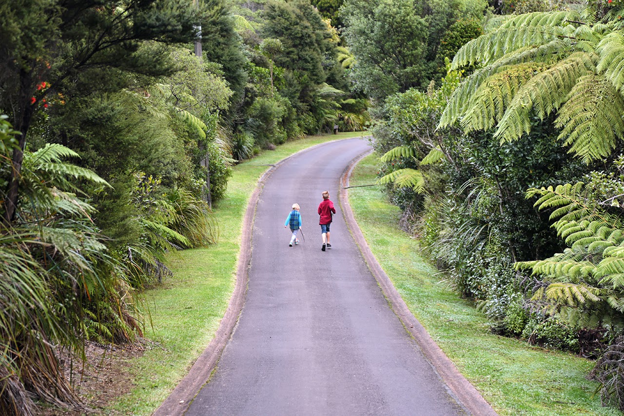 Photoog v49.0: Waitakere Dam Walk - Waitakere Tramline - Anderson Track....