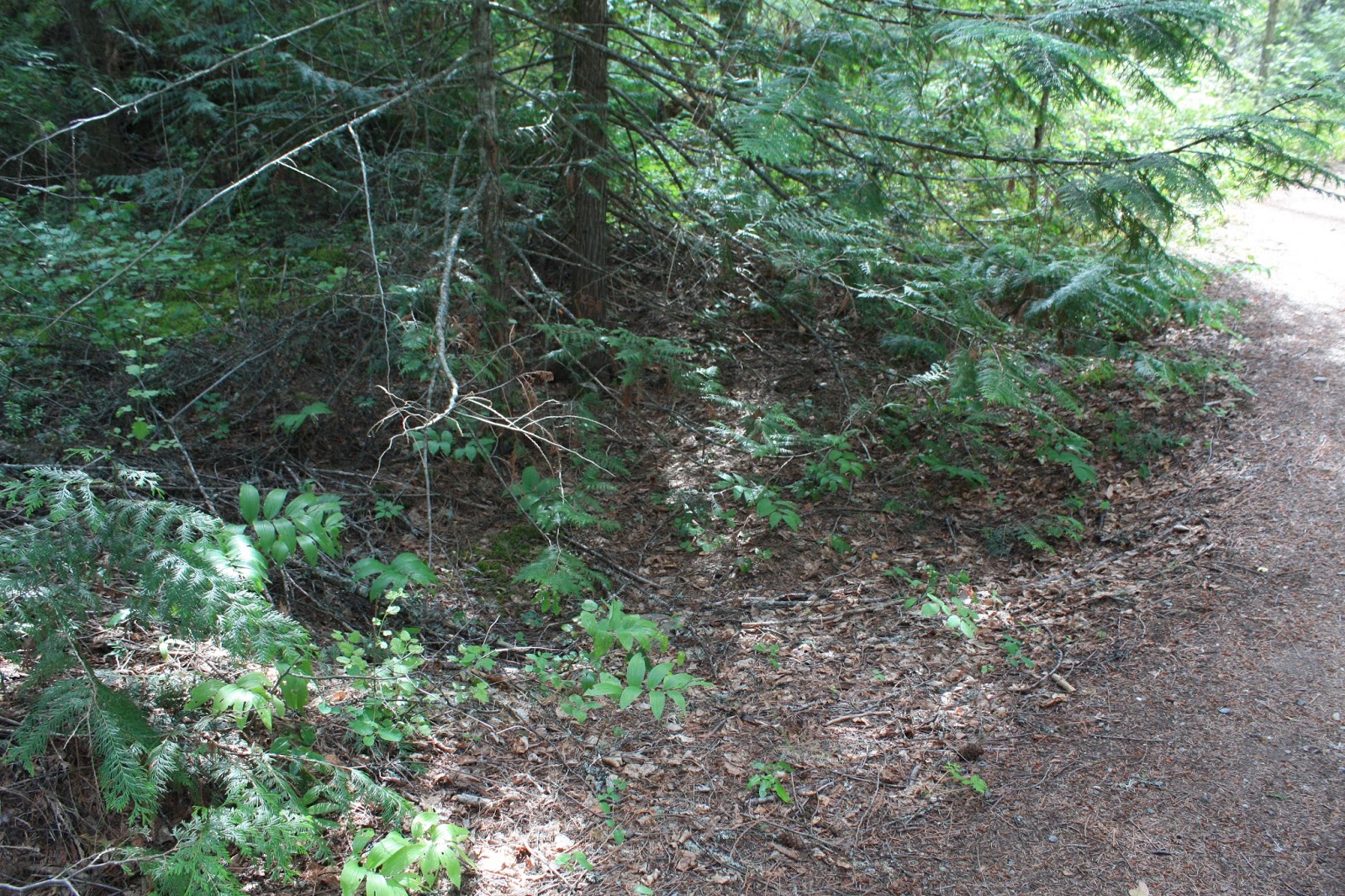 Get Me Outdoors: Shuswap