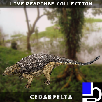 BriMor Labs: Live Response Collection - Cedarpelta
