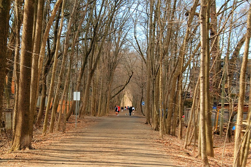 Mishy's Corner of the World: Kay Gardner Beltline Trail (Toronto ...