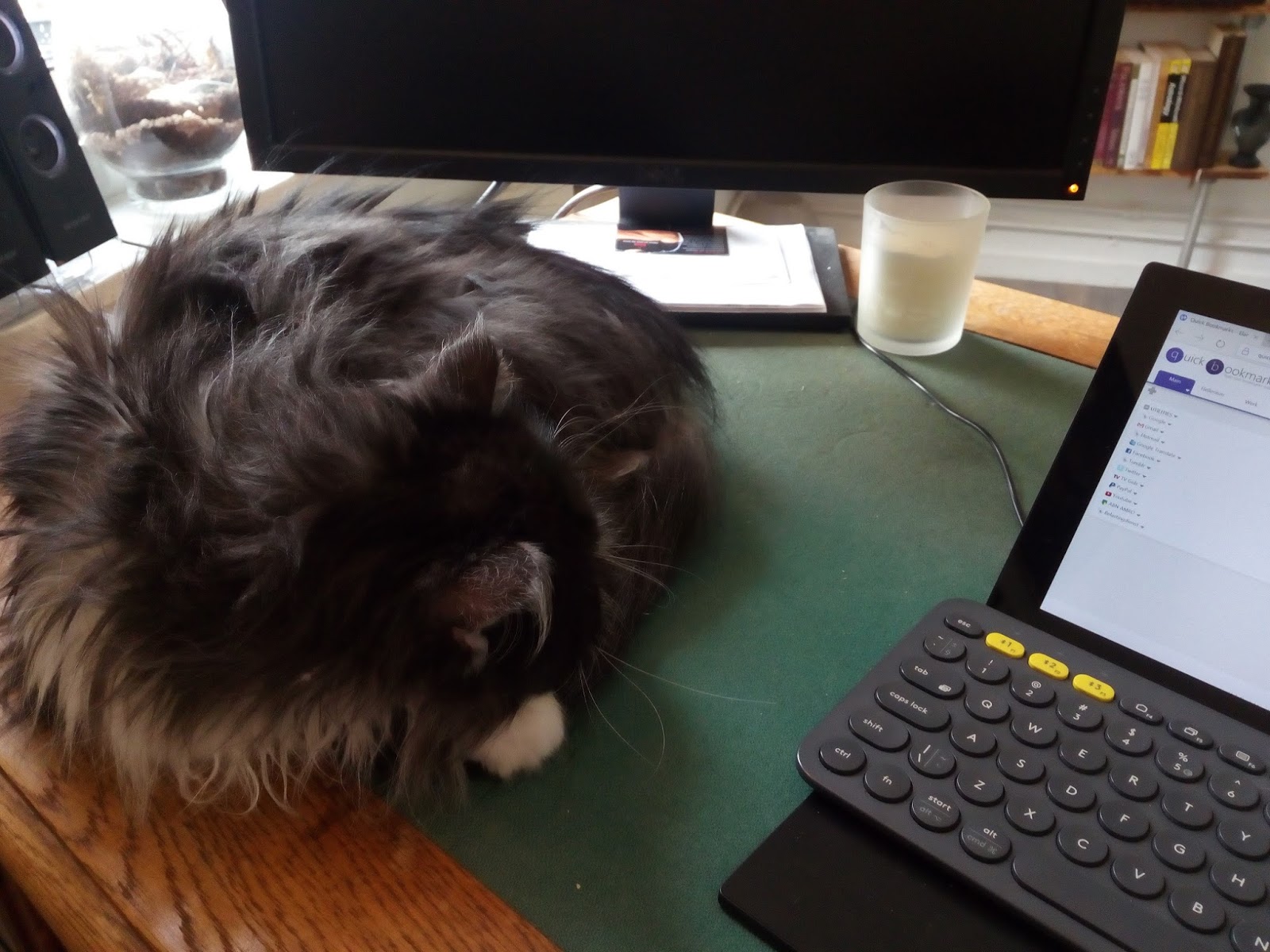 Welcome to our oikos, Hugo! | Baring the Aegis