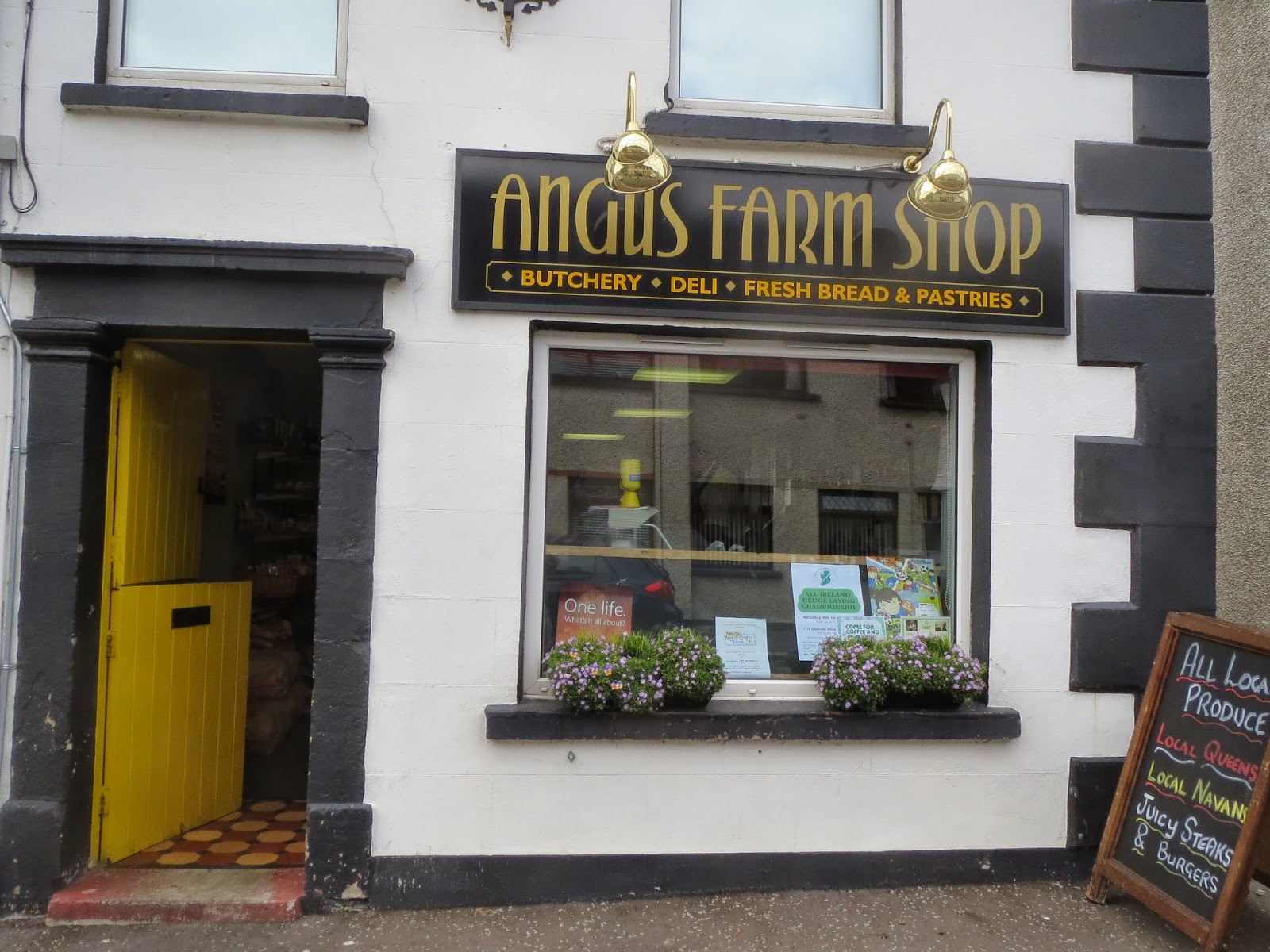 Lord Belmont in Northern Ireland: Greyabbey Angus