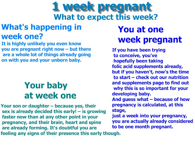 The First Week Of Pregnancy - What to expect this week?
