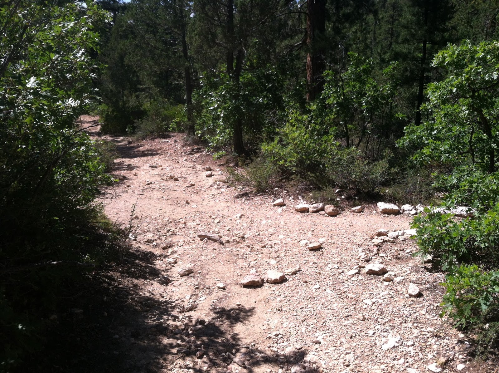 Myatt's Hikes: Sheep Creek and Swamp Canyon Connector Trail Loop, Bryce ...