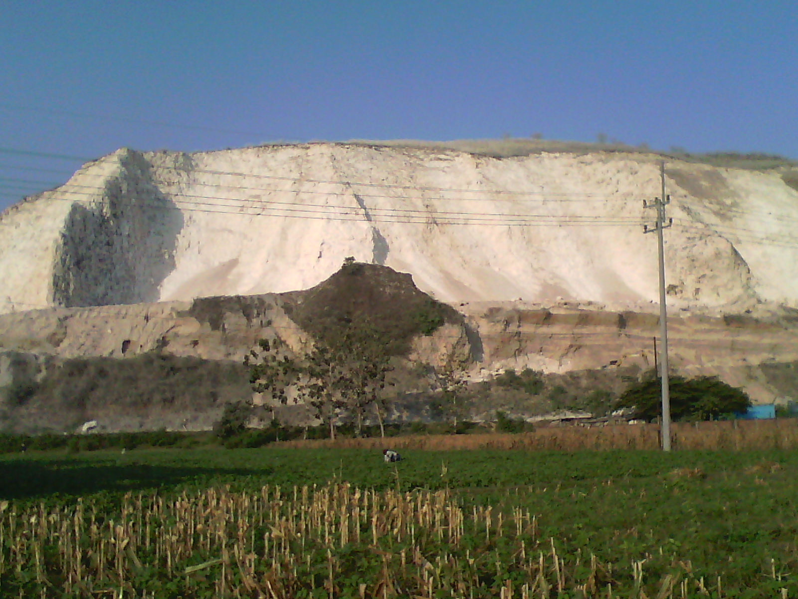 batu gamping puger: 2020