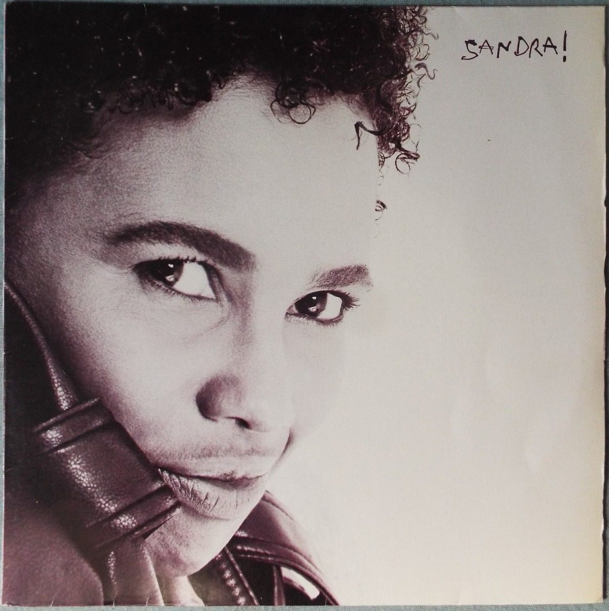 MUSICANAVEIA: Sandra De Sá 1990