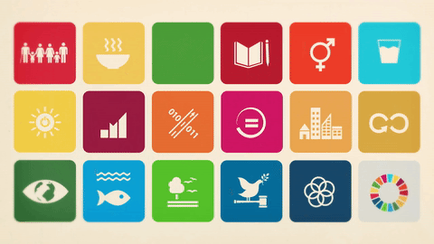 Biblioteca Camilo Castelo Branco VR: Objetivos de Desenvolvimento ...