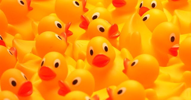 Talk to the Rubber Duck